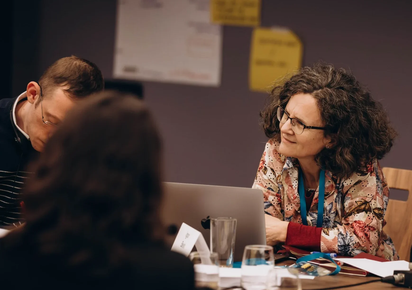 Analysis of other problem areas in health and social care - Milena Johnová